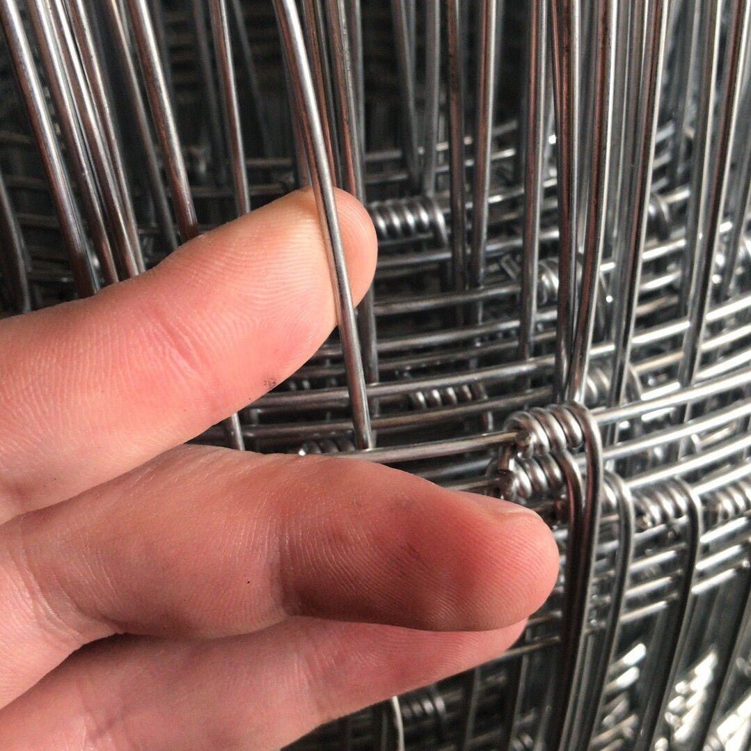 Galvanized Wire Mesh - Hinged Joint - Graduated 10/120/15 x 100m Roll ...